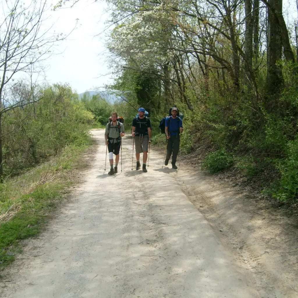 A Summer Solstice Eco Spirituality Walk - Sync Recovery Community