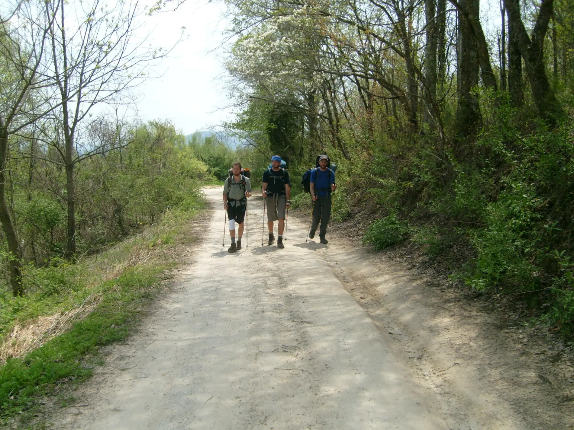 A Summer Solstice Eco Spirituality Walk - Sync Recovery Community